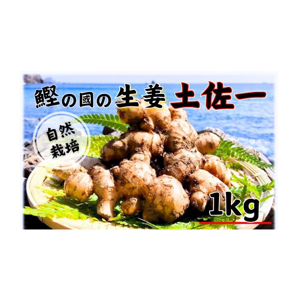 容量生姜（品種：土佐一）1kg消費期限※保存期間の目安は常温にて1か月程度ですが、期日にかかわらずお早めにご賞味ください。【保存方法】 到着後は付着している土をタワシなどで軽く洗い落とし、濡れたままビニール袋へ入れて常温にて保存してください...