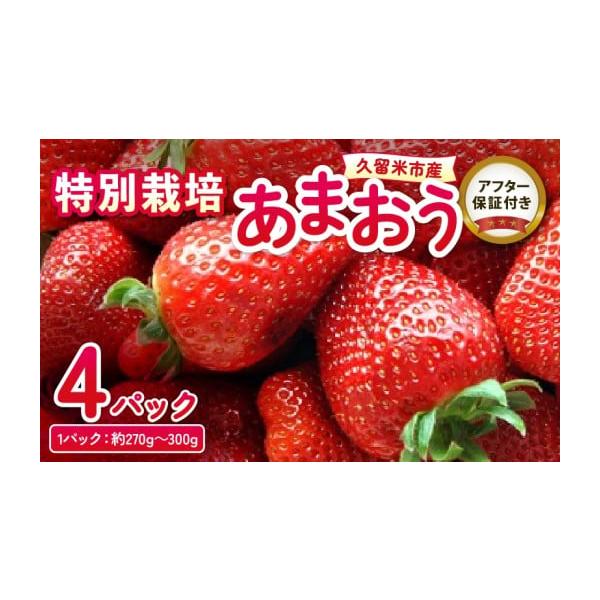 容量約270g〜300g×4パック消費期限出荷日より7日程度（要冷蔵・お早めにお召し上がりください）発送期日11月下旬〜5月上旬に、お申込み順に発送いたします。※天候等の影響で収穫量や収穫時期が変わり、発送が早くなったり遅れる場合があります...