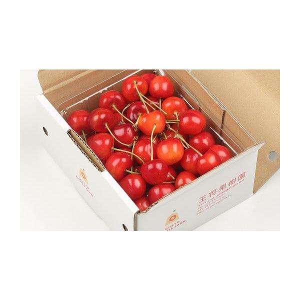 容量秀：500g、バラパック、2L〜3L消費期限2〜3日程度発送期日2026年6月下旬〜7月上旬配送冷蔵 のし 時間指定 別送申込期日2026年6月30日まで事業者株式会社 やまがたさくらんぼファーム申込条件何度も申し込み可