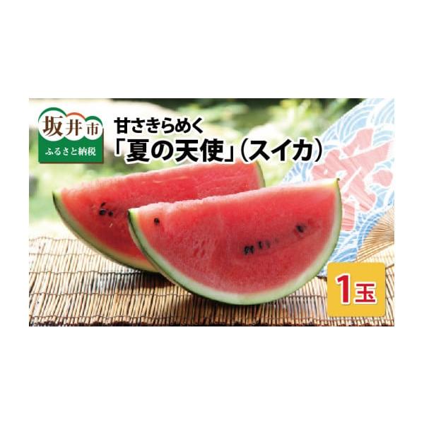 容量夏の天使 大玉 1玉 箱入り※大きさ・形はスイカによって微妙に異なります。 消費期限収穫日より常温で10日以内発送期日【先行予約・2026年7月中旬以降順次発送予定】※自然の恵みのため収穫時期は天候等に左右されます。お届けまでにお時間い...