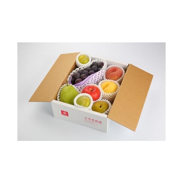 容量約2.5kg：旬のくだもの詰合せ消費期限1週間程度発送期日2026年9月配送冷蔵 のし 時間指定 別送申込期日2026年8月31日まで事業者株式会社 やまがたさくらんぼファーム申込条件何度も申し込み可