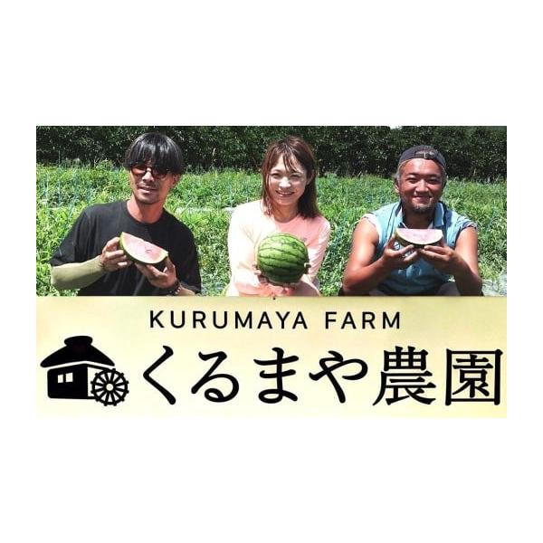 容量小玉すいか（ひとりじめBONBON）黒皮　２個　合計４ｋｇ以上サイズ：２Ｌ※天候により出荷時期や規格（数、サイズ、品種等）を変更する場合がございます。発送期日２０２６年７月下旬〜８月上旬迄※ご不在日が多く配達が困難な場合、お礼品や配送先...