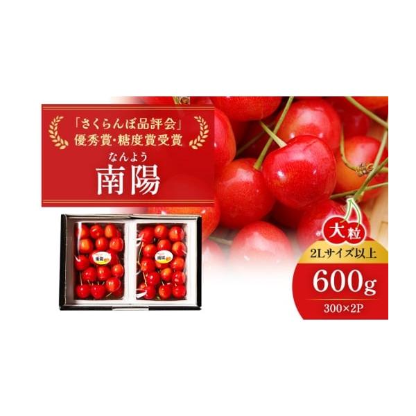 容量さくらんぼ【南陽】300g×2パックサイズ：2L以上　産地：北海道仁木町※賞味期間：発送から3日程度※ふるさと納税返礼品地場産品基準(平成31年総務省告示第179号第5条)のうち該当する類型について北海道仁木町内において生産されたもので...