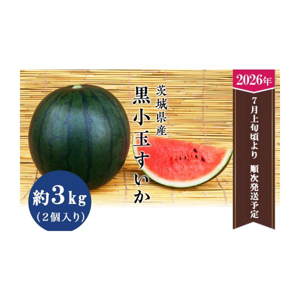 容量茨城県産黒小玉すいか 3kg（2個）発送期日7月上旬〜7月下旬頃 発送予定（天候などの影響や育成具合により、発送時期が変動する場合があります）配送常温 時間指定 別送申込期日2026年5月31日までのご入金事業者JA常総ひかり申込条件何...