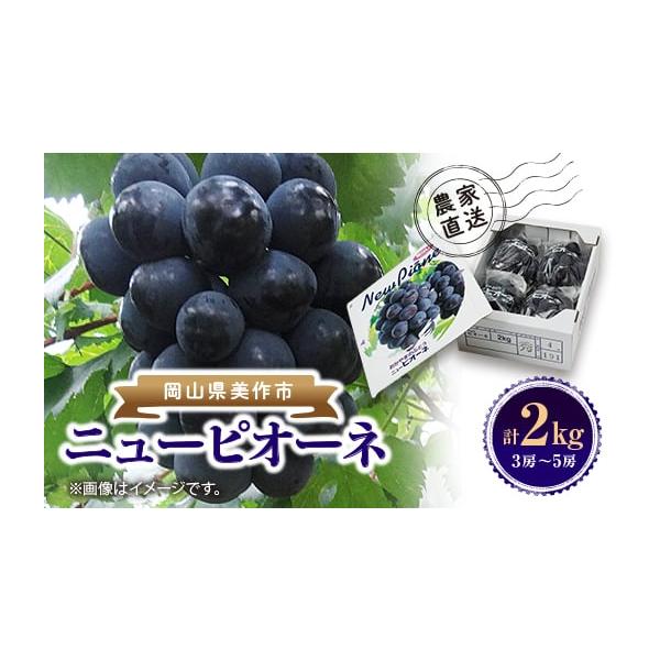 容量■内容量／原産地ニューピオーネ　2kg(3房〜5房)原産地:美作市消費期限■賞味期限1週間発送期日2026-08-25〜2026-09-25　※離島にはお届けできません。配送冷蔵 別送申込期日〜2025-12-31事業者くわさき農園申込...