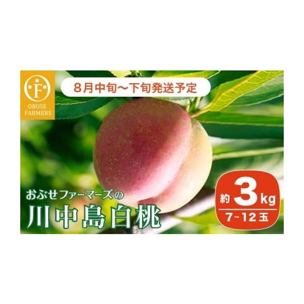 容量川中島白桃 約3kg （7〜12玉）発送期日2026年8月中旬〜下旬予定※天候や収穫状況により、お届けや規格が変更になる場合がございます。配送冷蔵 別送申込期日2026年8月20日まで※期限内であっても数量に達し次第終了させていただきま...