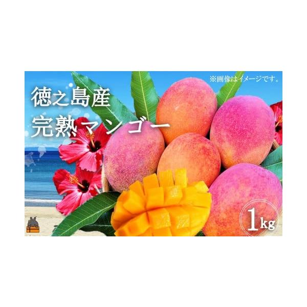 容量【内容】徳之島産完熟マンゴー（約1kg）（2玉〜3玉）※冷蔵配送※画像はイメージです。消費期限賞味期限：冷蔵保存で約10日発送期日こちらの返礼品は2026年7月〜8月にお届けする先行予約の返礼品となります。※旬を迎える7月〜8月に配送致...