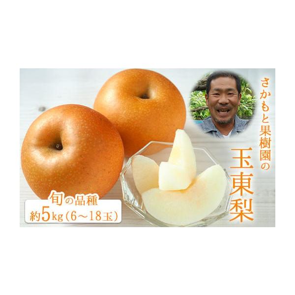 容量梨 約5kg(約6-18玉)※旬の品種をお届けします。消費期限返礼品に記載発送期日8月中旬-9月末頃出荷配送冷蔵 時間指定 別送申込期日8月頃まで受付予定（生育状況や寄附状況により、変更になる場合がございます。）事業者-申込条件何度も申...