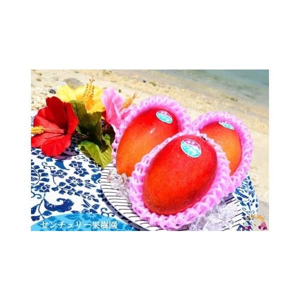 容量【セット内容】　センチュリー果樹園の徳之島産完熟マンゴー（約1kg）（2玉〜3玉）消費期限【賞味期限】出荷日+冷蔵保存で約10日発送期日旬を迎える7月頃〜8月に順次配送致します。※天候により若干期間が変わる可能性がございます。※複数回申...