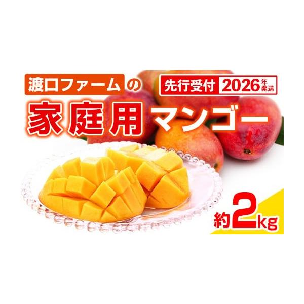 容量渡口ファームのこだわりマンゴー・約2kg　家庭用　4〜8玉　白箱入り※こちらの商品は「家庭用」となります。ご家庭用として美味しく召し上がって頂ける品質となっています。※玉数の指定はできません※数に限りがございます。申込数が予定数に達し次...