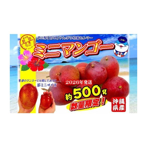 容量ミニマンゴー　約500g消費期限青果物のため、お早めにお召し上がり下さい。発送期日2026年6月下旬〜8月中旬発送予定配送冷蔵 別送申込期日2026年7月15日まで事業者やんばる物産（株）申込条件何度も申し込み可