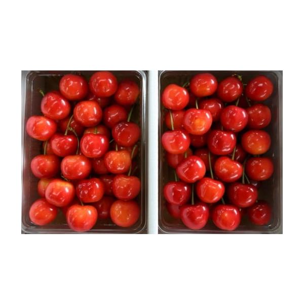 容量1kg(秀500g×2パック、バラパック)消費期限2〜3日程度発送期日2026年6月中旬〜6月下旬【配達】ヤマト運輸気温状況に応じて冷蔵または常温発送となります＊沖縄県へのお届けはできません。＊受取後、すぐに返礼品の状態をお確かめくださ...