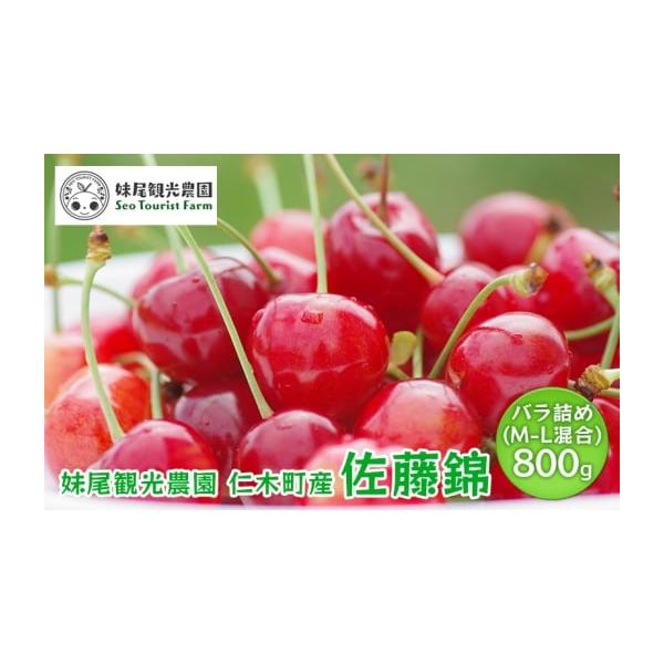容量さくらんぼ「佐藤錦」バラ詰め（M-L混合）800g 産地：北海道仁木町※賞味期限：発送から冷蔵3日※ふるさと納税返礼品地場産品基準(平成31年総務省告示第179号第5条)のうち該当する類型について仁木町内において生産されたものであること...