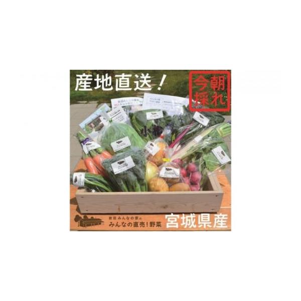 容量宮城県岩沼産（玉浦産）の農産物詰め合せ　計8〜10個地場野菜の美味しいレシピ集「みんなのレシピ」同封※季節により農産物の種類が変わるため種類はお任せになります。発送期日配送冷蔵 別送事業者一般社団法人　岩沼みんなのアグリツーリズム＆イノ...