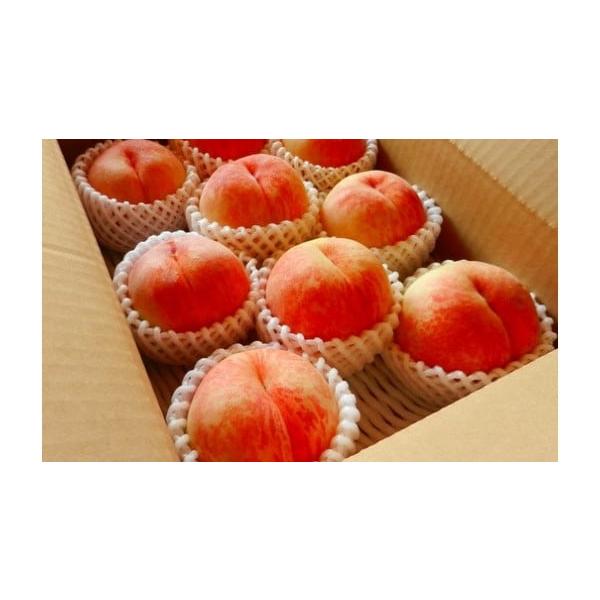 容量3kg前後(秀6〜12玉)　消費期限1週間程度発送期日2026年8月上旬〜8月下旬※生育状況によってお届けが前後する場合がございます。【配達】ヤマト運輸配送常温 冷蔵 のし 時間指定 別送申込期日2026年7月31日まで事業者株式会社 ...