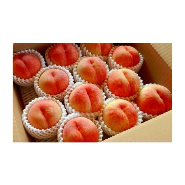 容量4kg前後(秀9〜16玉)消費期限1週間程度発送期日2026年9月中旬〜9月下旬※生育状況によってお届けが前後する場合がございます。【配達】ヤマト運輸配送常温 冷蔵 のし 時間指定 別送申込期日2026年9月10日まで事業者株式会社 野...