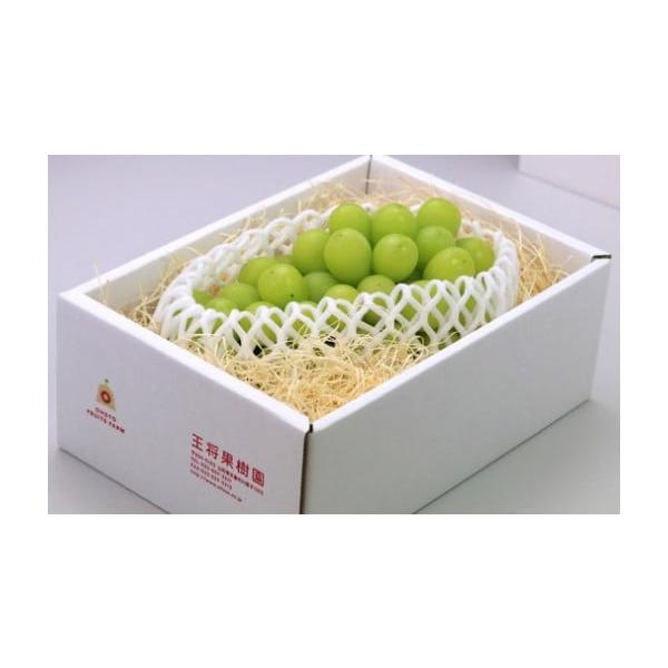 容量1〜2房(約800g〜1kg)消費期限1週間程度発送期日2026年9月中旬〜10月下旬配送冷蔵 のし 別送申込期日2026年9月30日まで事業者株式会社 やまがたさくらんぼファーム申込条件何度も申し込み可