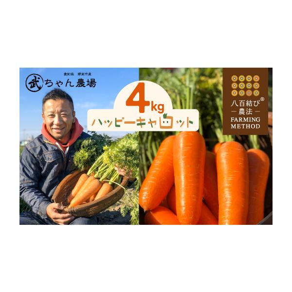 容量4kg(約16本)消費期限1か月程度保存方法：野菜室や、日の当たらない涼しい場所発送期日2025年12月から2026年3月に発送※期間中のお申込みは、決済から3週間程度で発送【碧南市からの発送に関するお知らせ】・寄附申込み後のキャンセル...