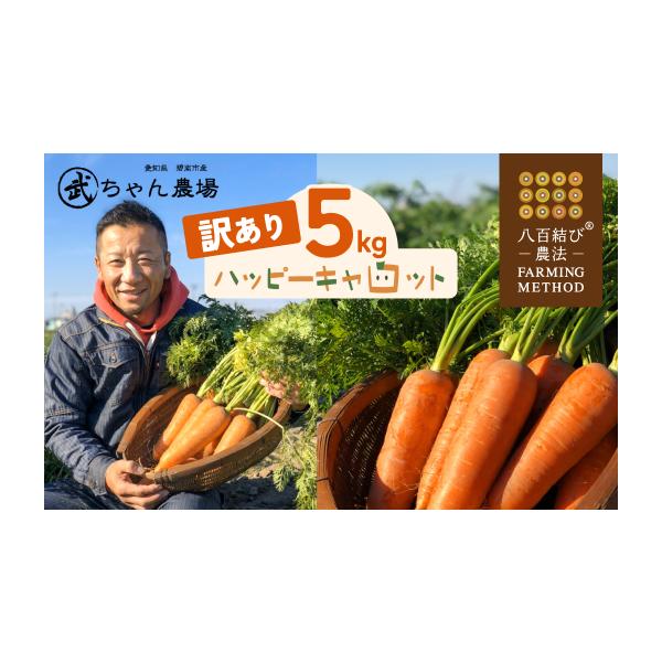 容量5kg(約20本)消費期限1か月程度保存方法：野菜室や、日の当たらない涼しい場所発送期日2025年12月から2026年3月に発送※期間中のお申込みは、決済から3週間程度で発送【碧南市からの発送に関するお知らせ】・寄附申込み後のキャンセル...