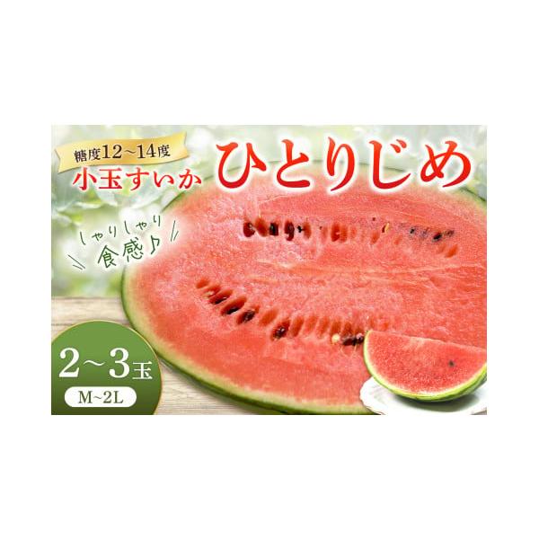 容量［内容量］2〜3玉［サイズ］M〜2Lサイズ※サイズによって個数が変わります。消費期限生ものにつきお早めにお召しあがりください。※商品到着後はすぐに中を確認ください。発送期日2026年6月上旬より順次発送予定配送常温 時間指定 別送申込期...