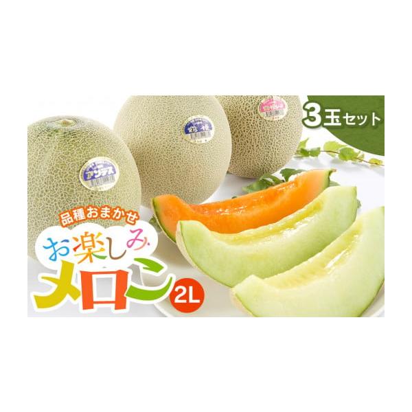 容量2Lサイズメロン3玉（品種は以下の3種類からおまかせ）・アンデスメロン（青肉）・鶴姫メロン（青肉）・鶴姫レッドメロン（赤肉）※品種の指定はできません。3種1玉ずつ入るとは限りませんのでご了承ください。【提供事業者】JA鶴岡消費期限生もの...