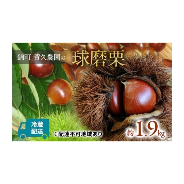 容量球磨栗 約1.9kg発送期日2026年9月上旬〜11月上旬配送冷蔵 別送申込期日2026年10月15日まで事業者賀久農園申込条件何度も申し込み可