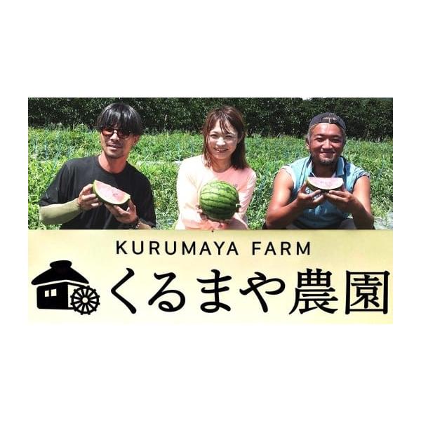 容量小玉すいか（ひとりじめBONBON）黒皮　１個　２.５ｋｇ以上サイズ：３Ｌ以上※天候により出荷時期や規格（数、サイズ、品種等）を変更する場合がございます。発送期日２０２６年７月下旬〜８月上旬迄※ご不在日が多く配達が困難な場合、お礼品や配...