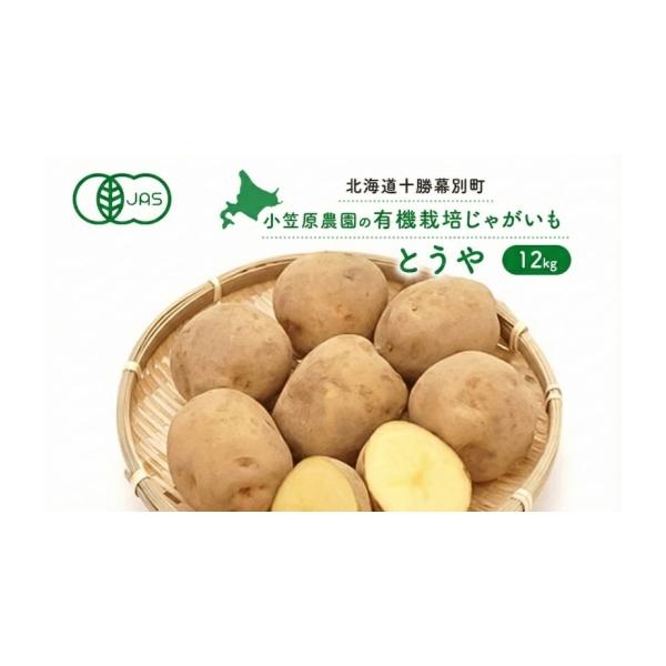 容量有機栽培とうや12kg発送期日2026年9月下旬〜11月下旬配送常温 別送申込期日2026年10月31日まで事業者小笠原農園申込条件何度も申し込み可