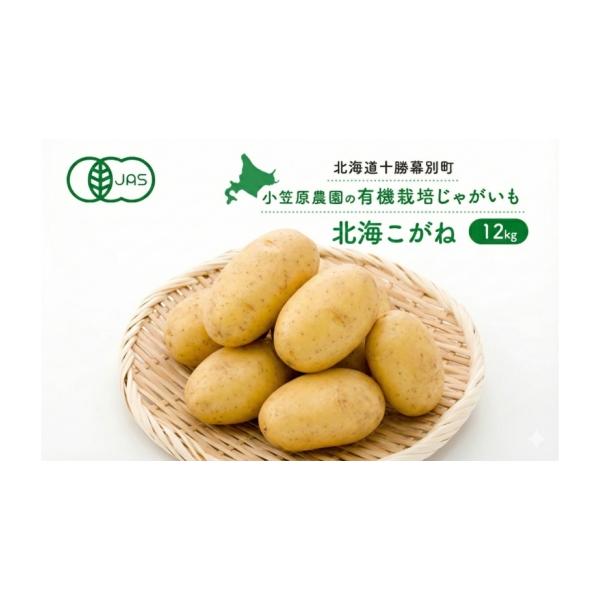 容量有機栽培北海こがね12kg発送期日2026年9月下旬〜11月下旬配送常温 別送申込期日2026年10月31日まで事業者小笠原農園申込条件何度も申し込み可