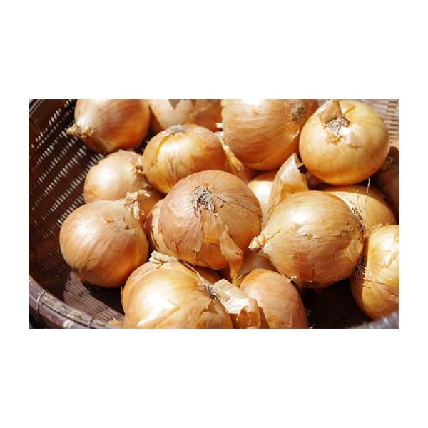 容量玉ねぎ 約18kg消費期限到着後、冷蔵保管の上お早めにお召し上がりください発送期日2025年11月〜2026年3月31日配送冷蔵 別送申込期日2026年3月15日まで事業者B＆T TRADING株式会社申込条件何度も申し込み可