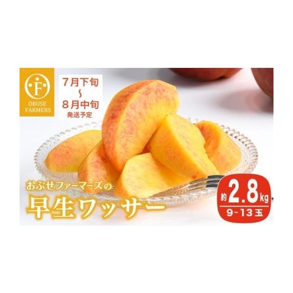 容量早生ワッサー 約2.8kg（9〜13玉）発送期日2026年7月下旬〜8月中旬予定※天候や収穫状況により、お届けや規格が変更になる場合がございます。配送冷蔵 別送申込期日2026年8月5日まで※期限内であっても数量に達し次第終了させていた...