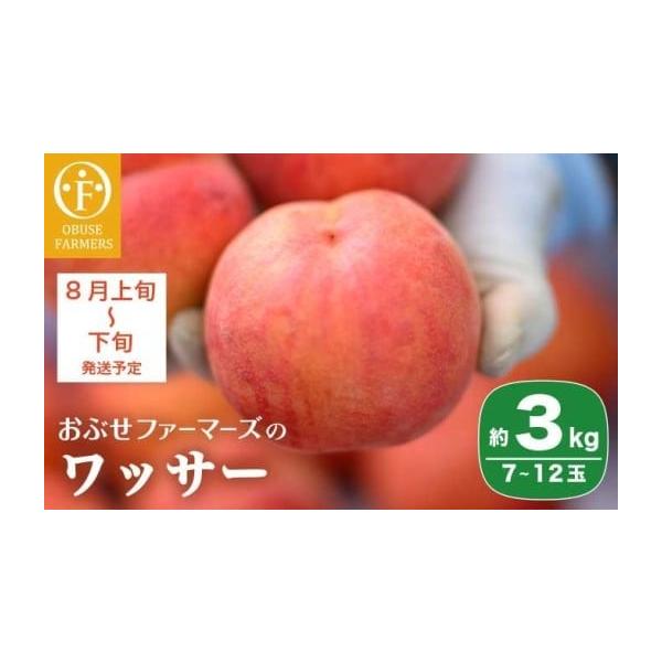容量ワッサー 約3kg（7〜12玉）発送期日2026年8月上旬〜下旬予定※天候や収穫状況により、お届けや規格が変更になる場合がございます。配送冷蔵 別送申込期日2026年8月20日まで※期限内であっても数量に達し次第終了させていただきます。...