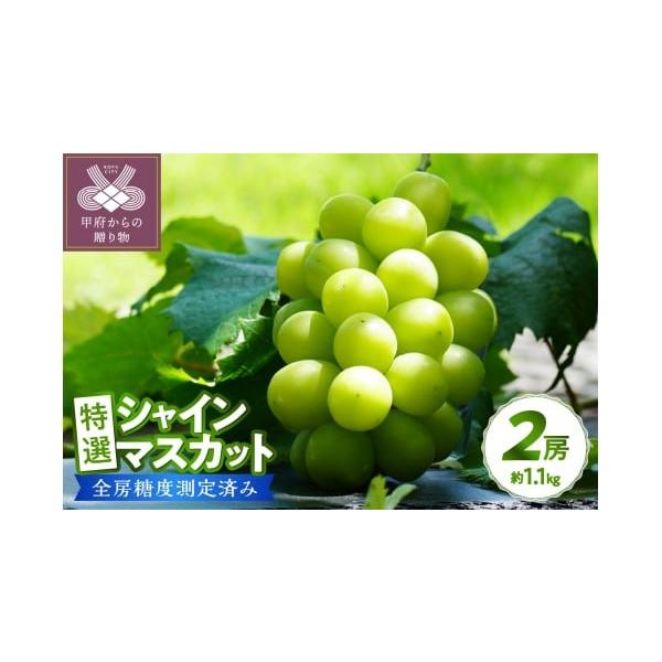 容量シャインマスカット2房（約1.1kg）消費期限出荷日から3日間発送期日2026年8月上旬〜10月上旬にかけて順次出荷予定※天候や生育状況により配送時期が前後する可能性がございます。配送冷蔵 時間指定 別送申込期日2026年8月20日まで...