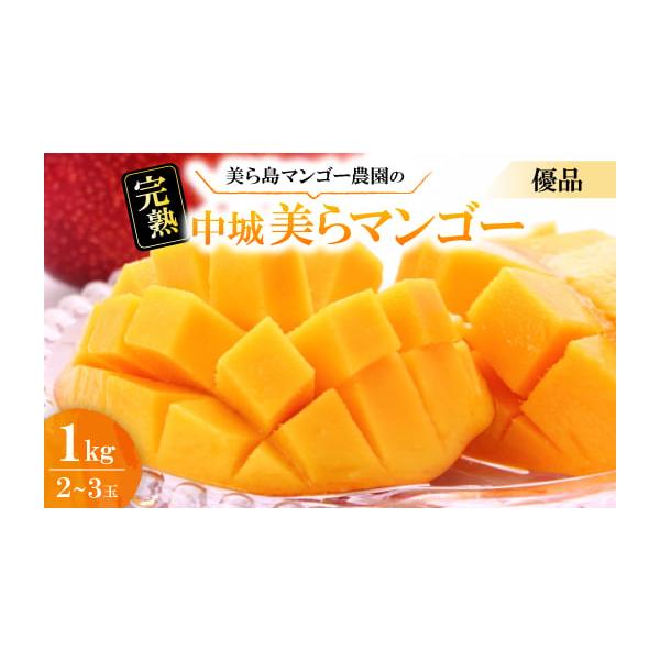 容量■お礼品の内容について・完熟中城美らマンゴー[優品1kg(2〜3玉)]原産地:沖縄県中城村消費期限■賞味期限:出荷日+5日※到着後、すぐにお礼品の状態をご確認のうえ、お早めにお召し上がりください。発送期日2026-06-25〜2026-...