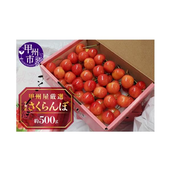 容量甲州市牛奥産さくらんぼ 約500g（化粧箱入）消費期限到着次第、お早めにお召し上がりください。発送期日2026年6月上旬〜6月下旬頃、順次発送予定※天候や収穫状況により出荷に変動がございます。（※沖縄・離島へのお届けはできかねております...