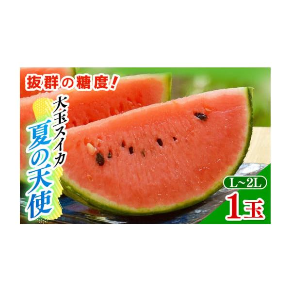容量1玉（L〜2L）消費期限完熟をお届けいたしますので、お早めにお召し上がりください。発送期日2026年7月中旬より準備出来次第、順次発送いたします。（生育状況により前後する場合がございます。予めご了承くださいませ）配送常温 時間指定 別送...