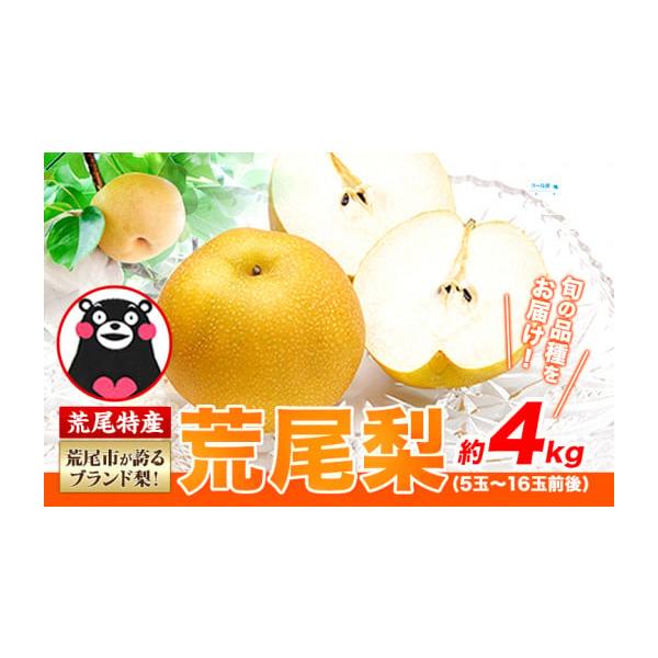 容量旬の梨（品種：幸水梨、豊水梨、あきづき、新高梨、甘太、新興梨、あたご梨、秋麗のいずれか）消費期限到着から1週間以内にお召し上がりください。発送期日2026年8月下旬‐11月中旬頃出荷配送冷蔵 時間指定 別送事業者-申込条件何度も申し込み...