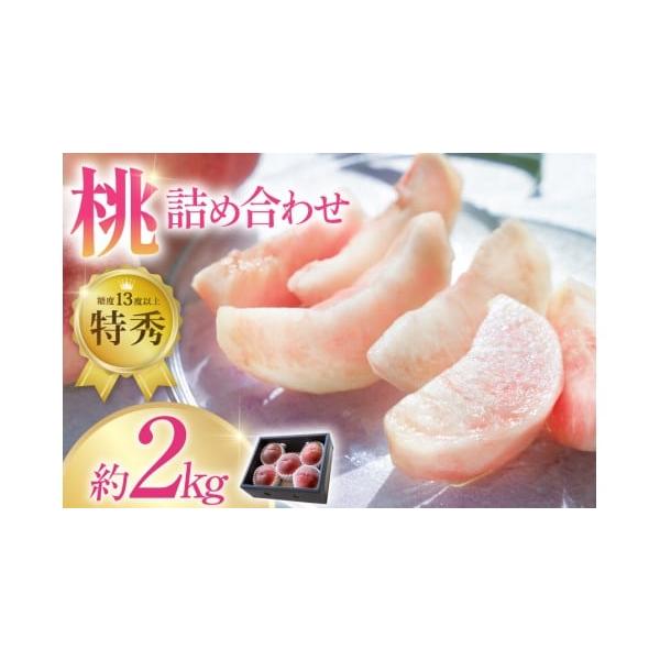 容量■内容量約2kg（玉の大きさによっては数が変わります）消費期限到着後はお早めにお召し上がりください発送期日2026年7月下旬頃から順次出荷※申込期日：2026年7月31日（決済確認）※寄附申込が集中した場合は、お届けまでお待たせすること...