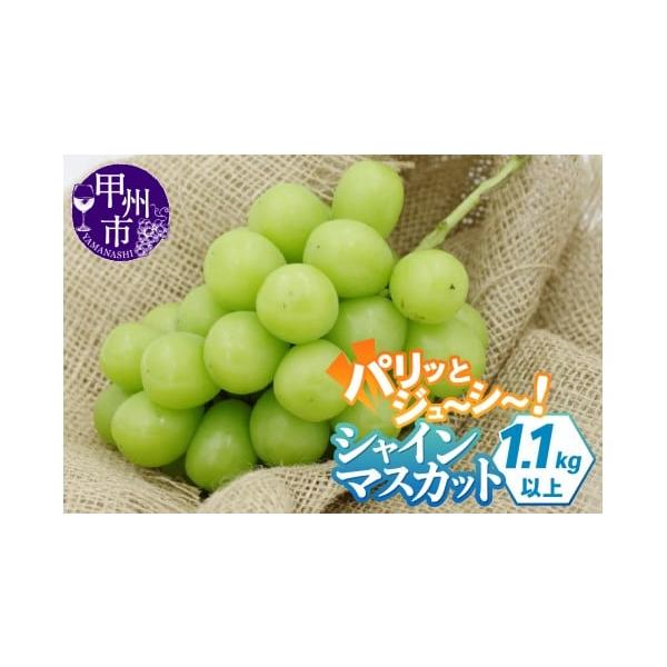 容量シャインマスカット 1.1kg以上（2〜3房）消費期限到着次第、お早めにお召し上がりください。発送期日2026年8月下旬〜10月上旬頃、順次発送予定※天候や収穫状況により出荷に変動がございます。（※沖縄・離島へのお届けはできかねておりま...