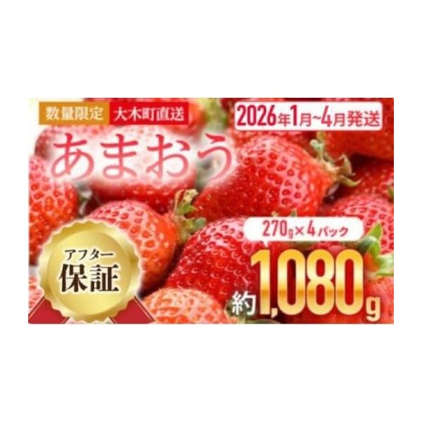 容量あまおういちご2箱（1パック約270ｇ×4パック）【2026年1月〜4月に順次出荷予定】消費期限※生ものの為、できるだけはやくお召し上がりください発送期日【2026年1月〜4月に順次出荷予定】青果物となりますため、生育状況によって記載の...