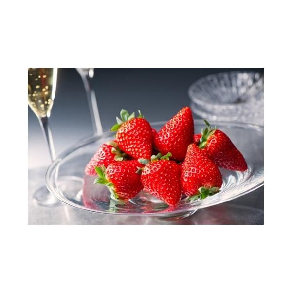 容量約400g×2パック入（1箱あたり18粒〜30粒。粒数や粒の大きさは時期により写真とは異なります。粒数の指定はできませんのでご了承ください。）【数量限定：500セット】※北海道・沖縄・離島配送不可消費期限賞味期限：お早目にお召し上がりく...