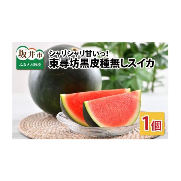 容量種無しスイカ 6〜10kg × 1玉消費期限到着日より10日以内 (常温保存時)発送期日【先行予約・2026年7月中旬以降順次発送予定】※長期ご不在の場合、お申し込み時【備考欄】に「不在期間〇〇／〇〇〜〇〇／〇〇」とご記入ください。※長...