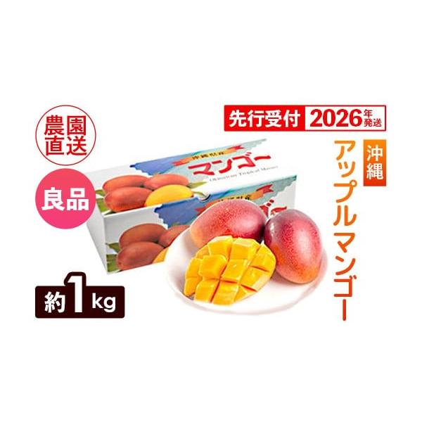 容量アップルマンゴー（良品）約1kg（2〜3個入り・色付き5割以下)※玉数の指定はできません。※数に限りがございます。申込数が予定数に達し次第締め切らせて頂きます。アレルギー：ウルシ科消費期限 到着後はなるべくお早めに召し上がりください。発...