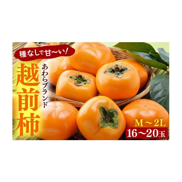 容量16〜20玉入（M〜2L）消費期限発送日より4〜5日※徐々に柔らかくなっていきますので、お早めにお召し上がりください。発送期日2026年10月中旬より準備出来次第、順次発送いたします。 （生育状況により前後する場合がございます。予めご了...