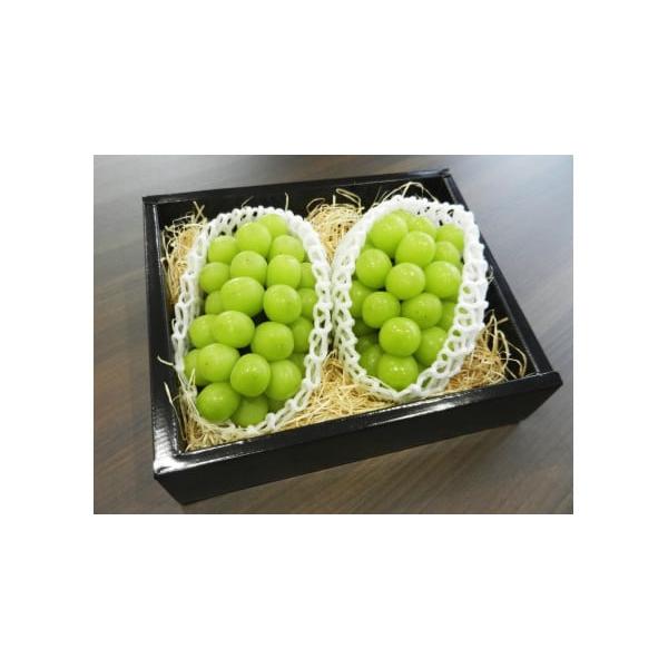 容量2房(1.3kg〜1.5kg)消費期限1週間程度発送期日2026年10月上旬〜10月下旬※生育状況によってお届けが前後する場合がございます。【配達】ヤマト運輸※生育状況によってお届けが前後する場合がございます。配送冷蔵 のし 時間指定 ...