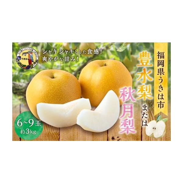 容量豊水梨または秋月梨 6玉から9玉(約3kg)、シャキシャキとした食感で水分豊富。冷蔵保管で出荷日から4日から5日以内にお召し上がりください。消費期限到着後、冷蔵保管で出荷日から4日から5日以内にお召し上がりください。発送期日2026年8...