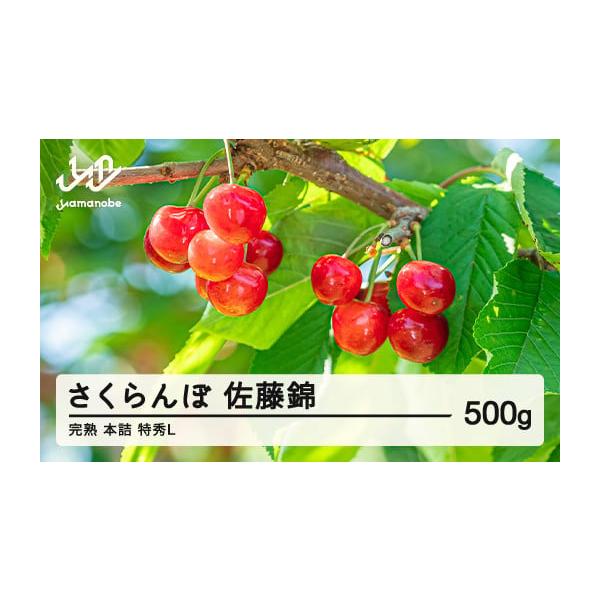 容量佐藤錦 500g（本詰 ・特秀・L）消費期限【賞味期限】発送日より3日程度※到着後はお早めにお召し上がりください。発送期日2026年6月中旬〜6月末頃に順次発送※発送時期は、例年の発送時期を記載しております。天候や収穫状況により変更にな...