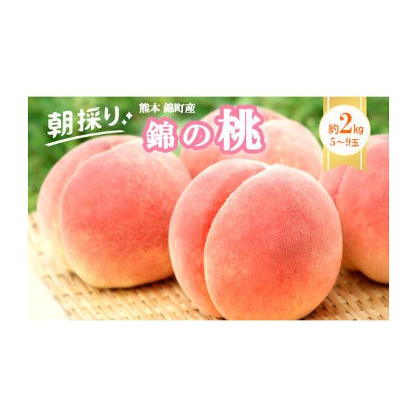 容量錦の桃 2kg (約5玉〜9玉)発送期日2026年7月上旬〜8月中旬配送冷蔵 別送申込期日2026年8月5日まで事業者鎌木果樹園申込条件何度も申し込み可