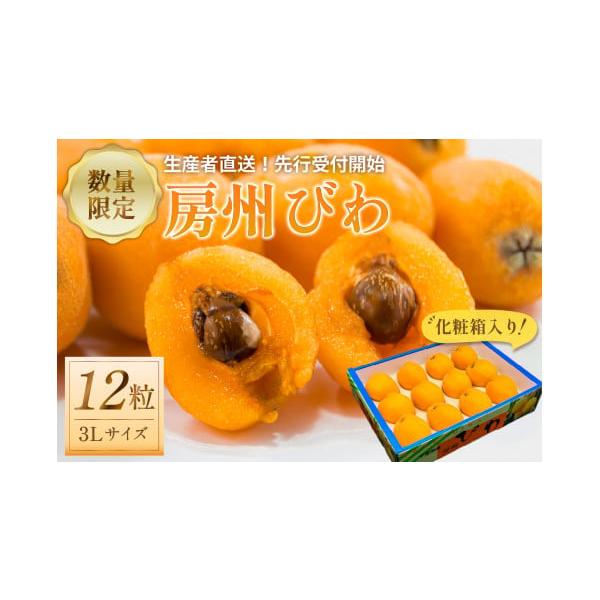 容量房州びわ3L以上×12粒消費期限【賞味期限】2〜3日発送期日2026年5月下旬〜6月中旬配送常温 別送申込期日2026年5月25日まで事業者房総スカイファーム申込条件何度も申し込み可