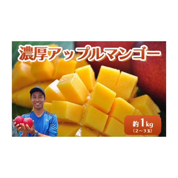 容量アップルマンゴー約1kg（2〜3玉）発送期日2026年6月中旬〜7月下旬配送冷蔵 時間指定 別送申込期日2026年7月15日まで事業者株式会社　農園ファイミール申込条件何度も申し込み可